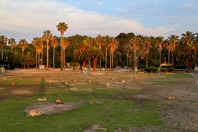 image - Yutty!【ユッティ】